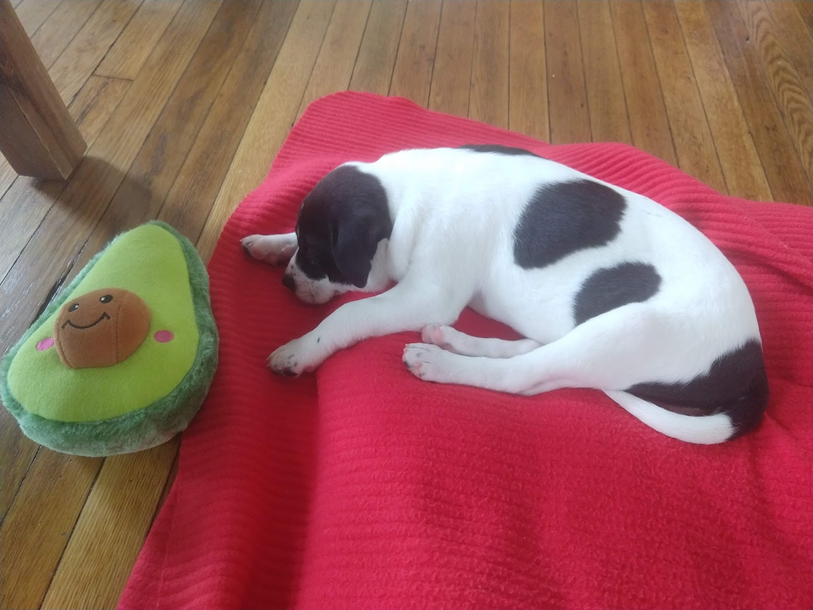 Test_Course_16 | Albion College