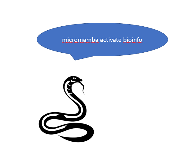 BIOL 360 01 (Saville - Fall 2024)