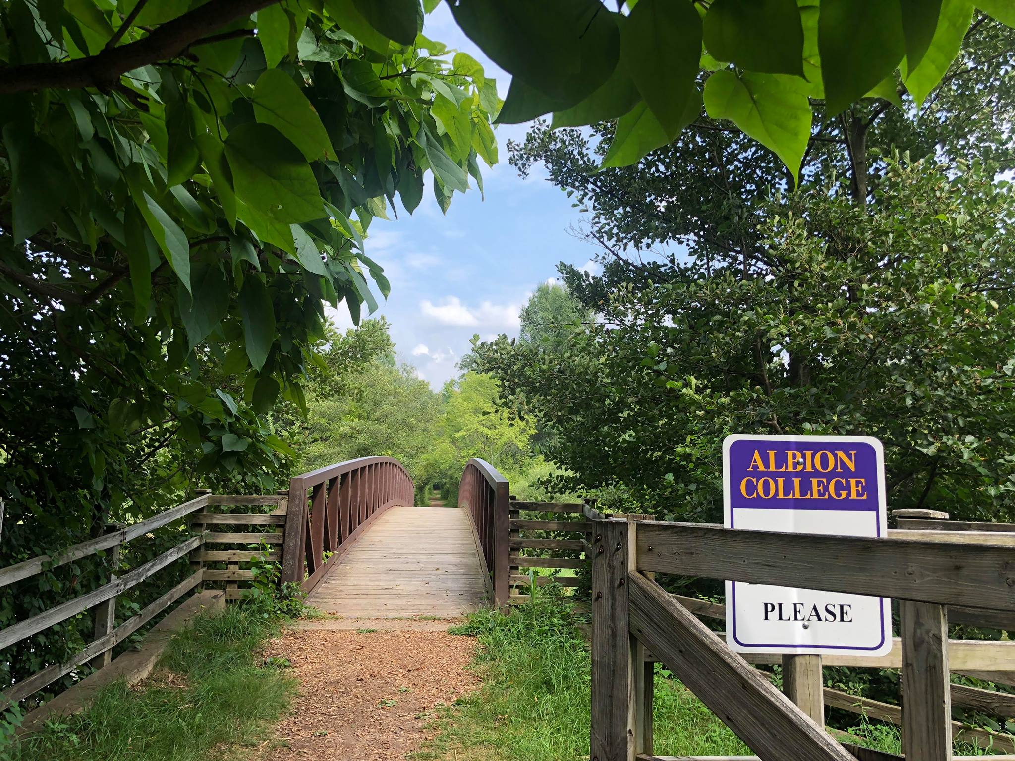 BIOL 195L 03 (Sblendorio - Fall 2025) | Albion College